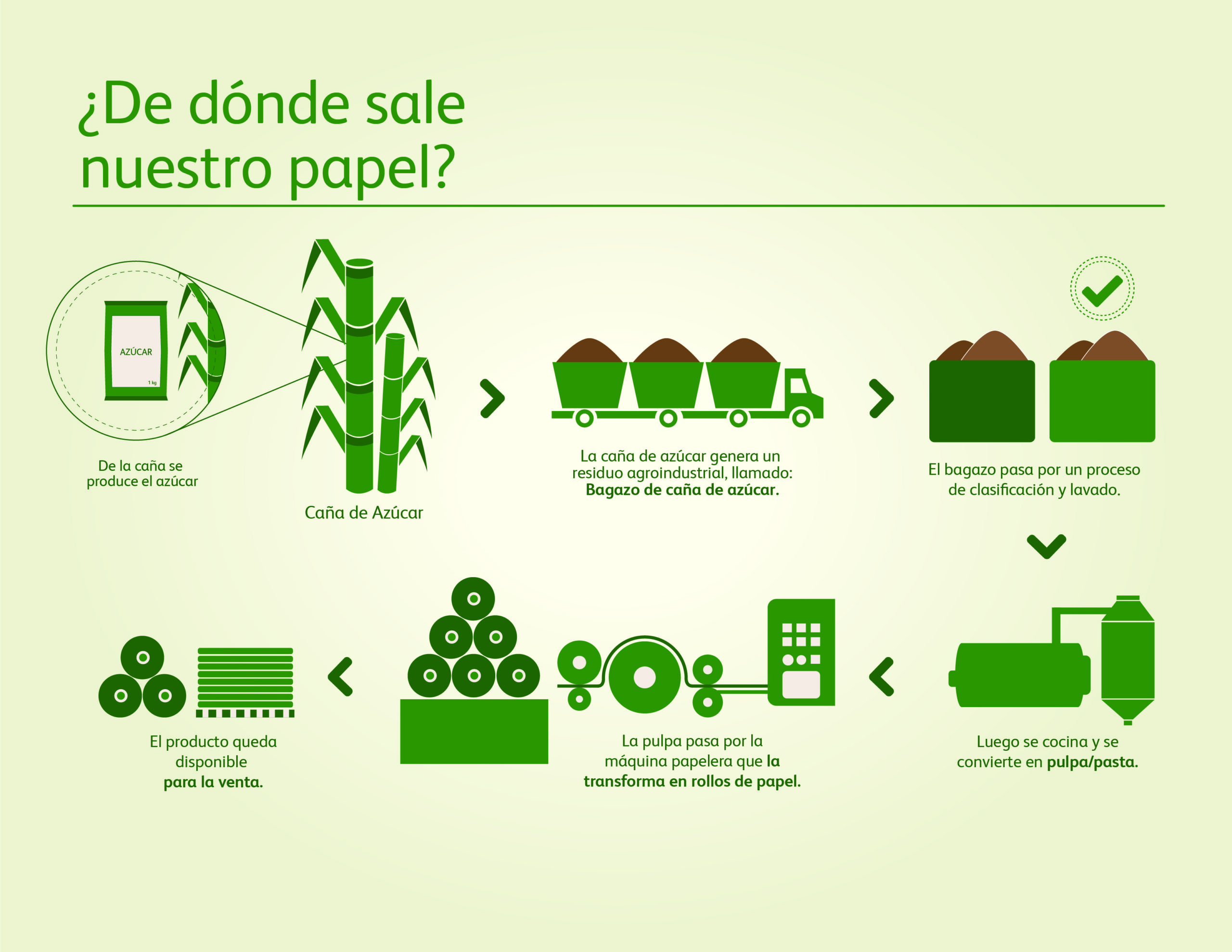 Proceso de elaboración del papel
