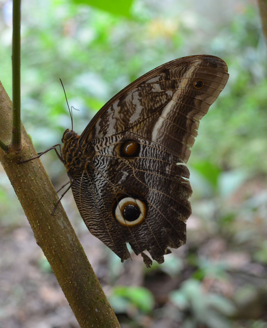 Visite a Villagarzón, "el corazón del Putumayo"