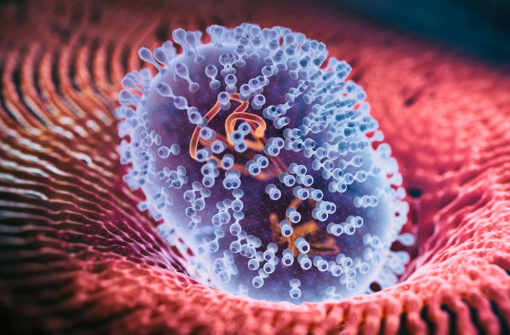 Así se propaga la viruela símica